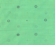Fabrics
